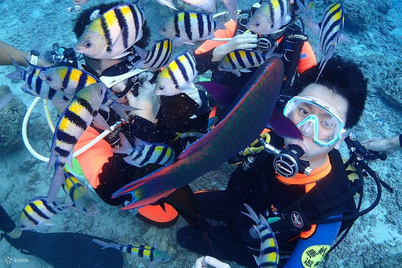 [Green Island Diving License] PADI Advanced Open Water Course for 3 ...